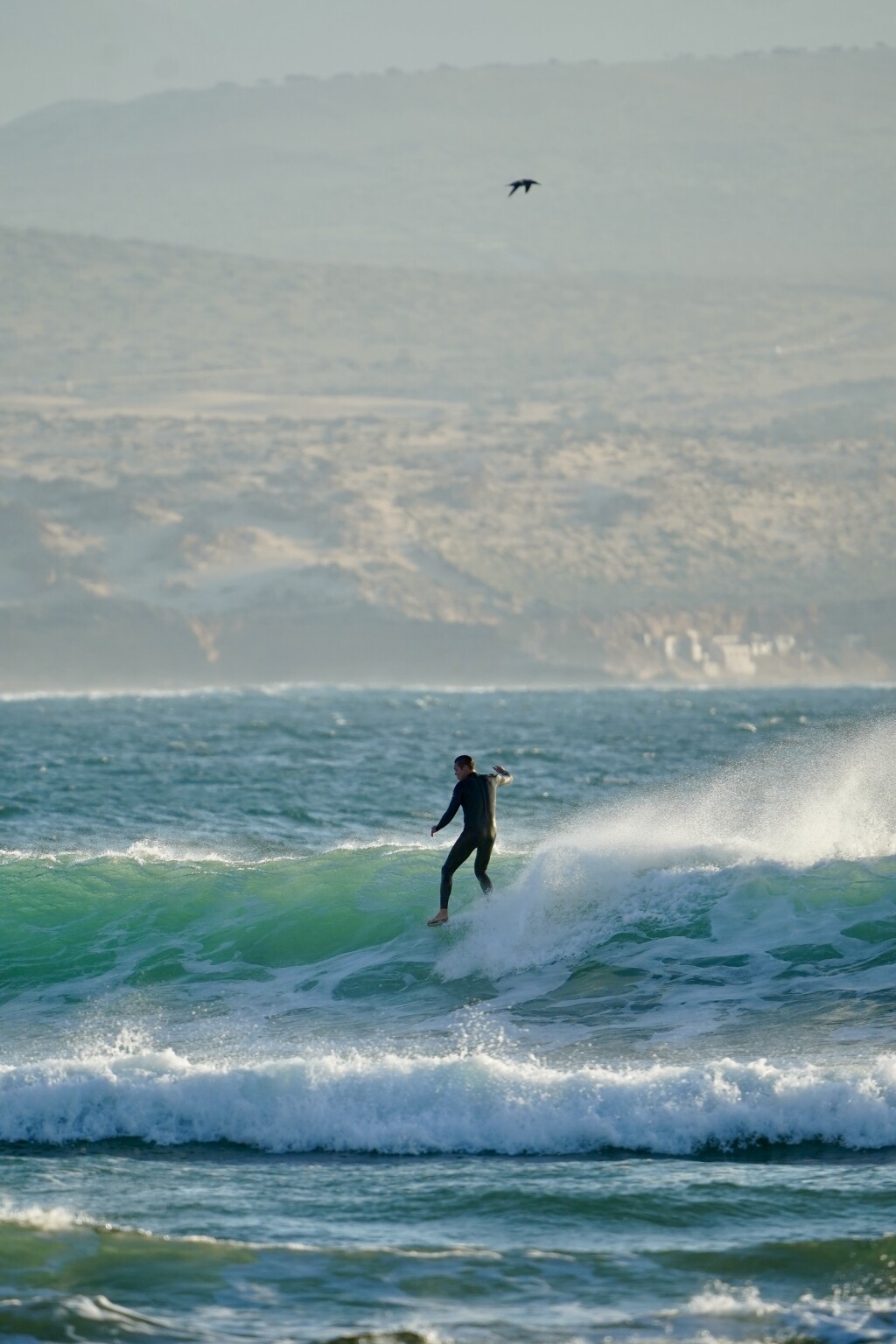 Skindog Surfboards - Custom Surfboards Newquay UK