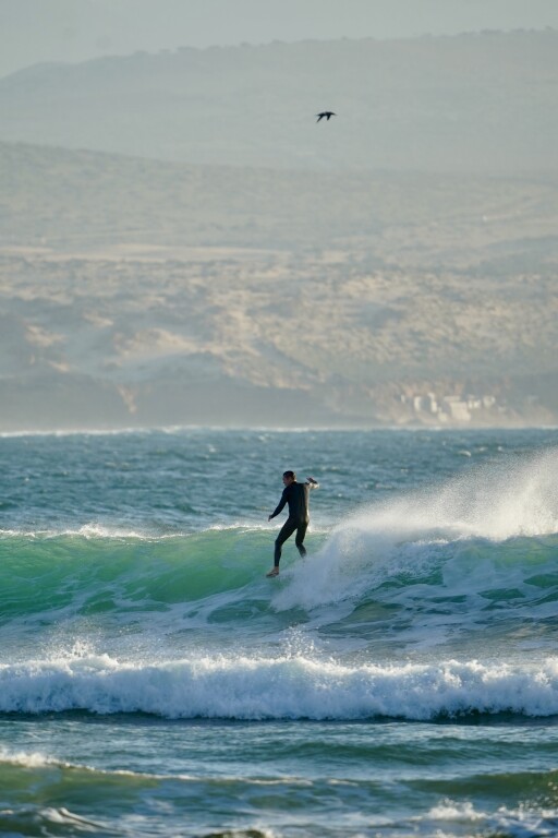 Skindog Surfboards - Custom Surfboards Newquay UK